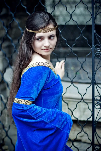 73,467 Medieval pattern Pictures, Medieval pattern Stock Photos ...