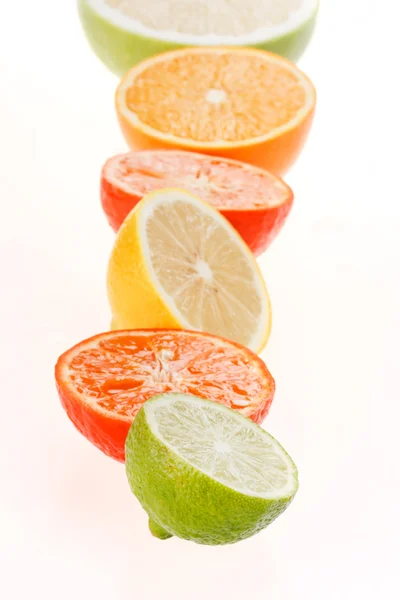 Citrus collection Stock Photos, Royalty Free Citrus collection Images ...