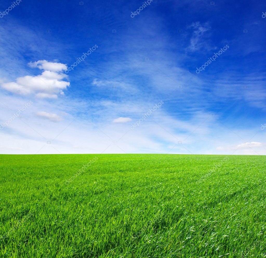 Green grass and sky Stock Photo by ©Ale-ks 2870516