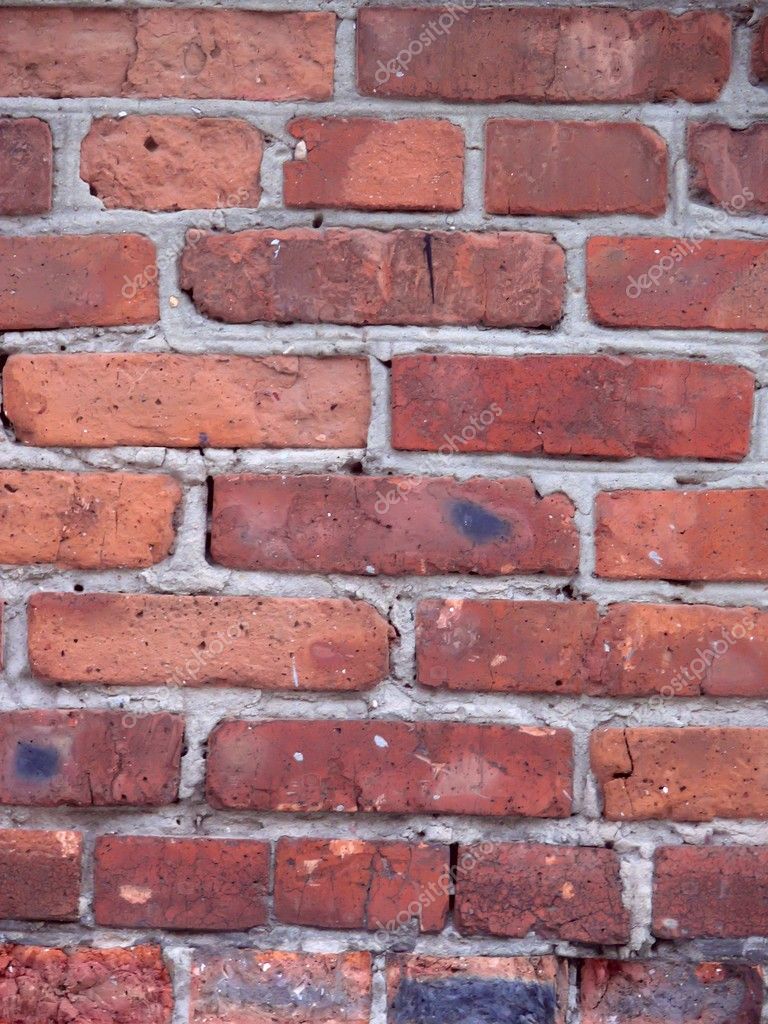 Brick. Texture. — Stock Photo © pali137 #2845766