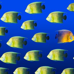 Different Stock Photos, Royalty Free Different Images | Depositphotos