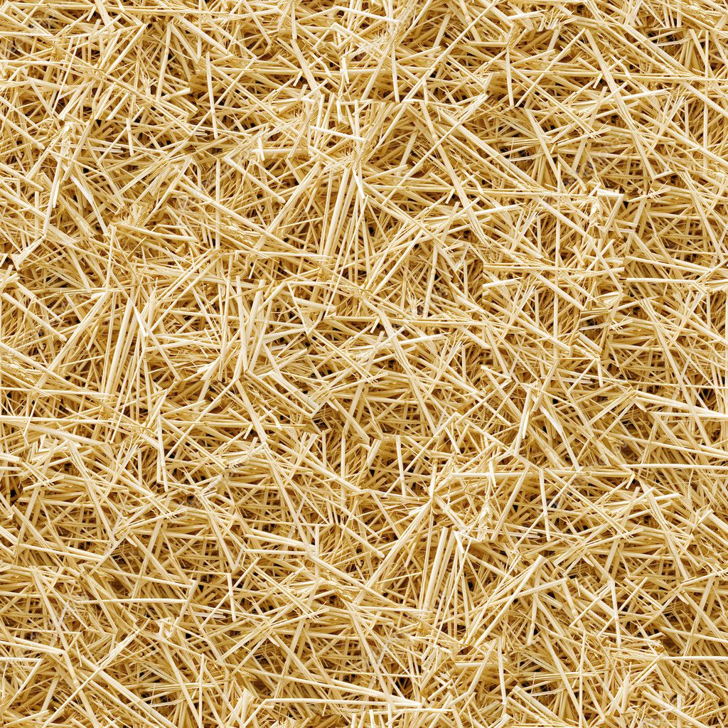 Hay seamless background. — Stock Photo © Leonardi #3305963
