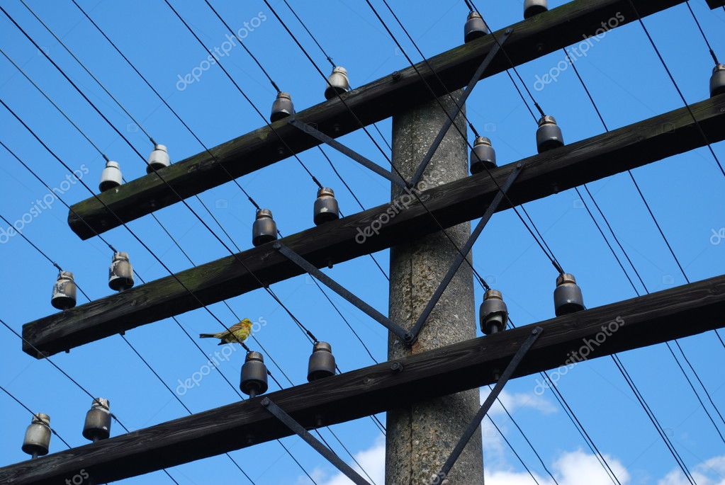 Electric conductors — Stock Photo © katya_kh #3357608