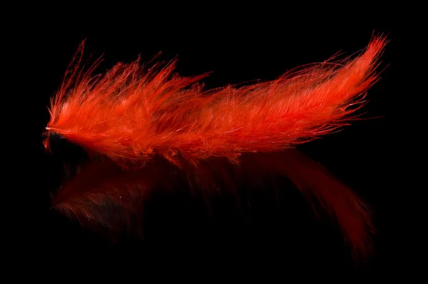 Red feather Stock Photos, Royalty Free Red feather Images | Depositphotos