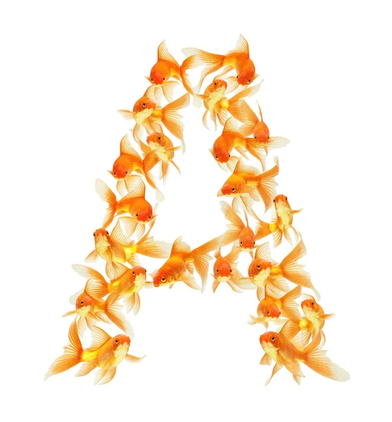 Gold fish alphabet letter — Stock Photo © Irochka #5138670