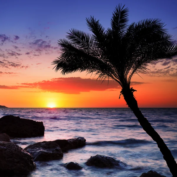 Beautiful sunset at tropical beach. — Stock Photo © Irochka #5139832