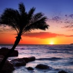 Free Stock photo of Sunset at Beautiful Refugio Beach Shore ...