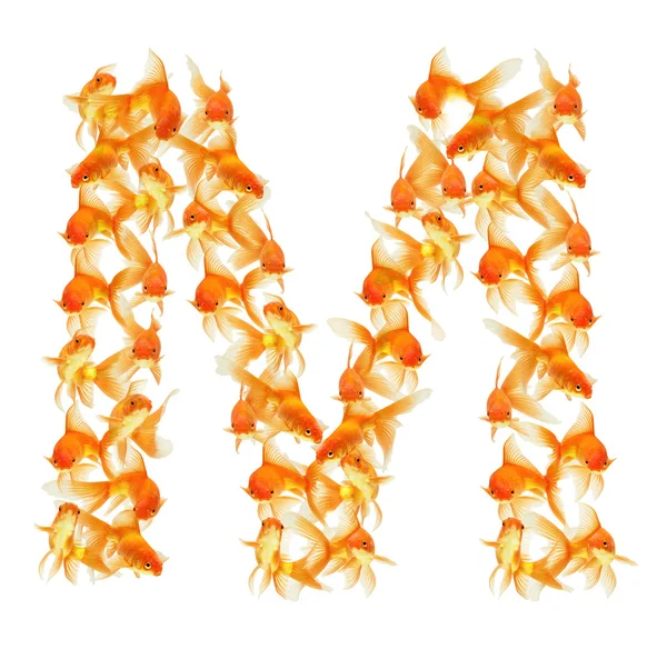 Gold fish alphabet letter — Stock Photo © Irochka #5138670