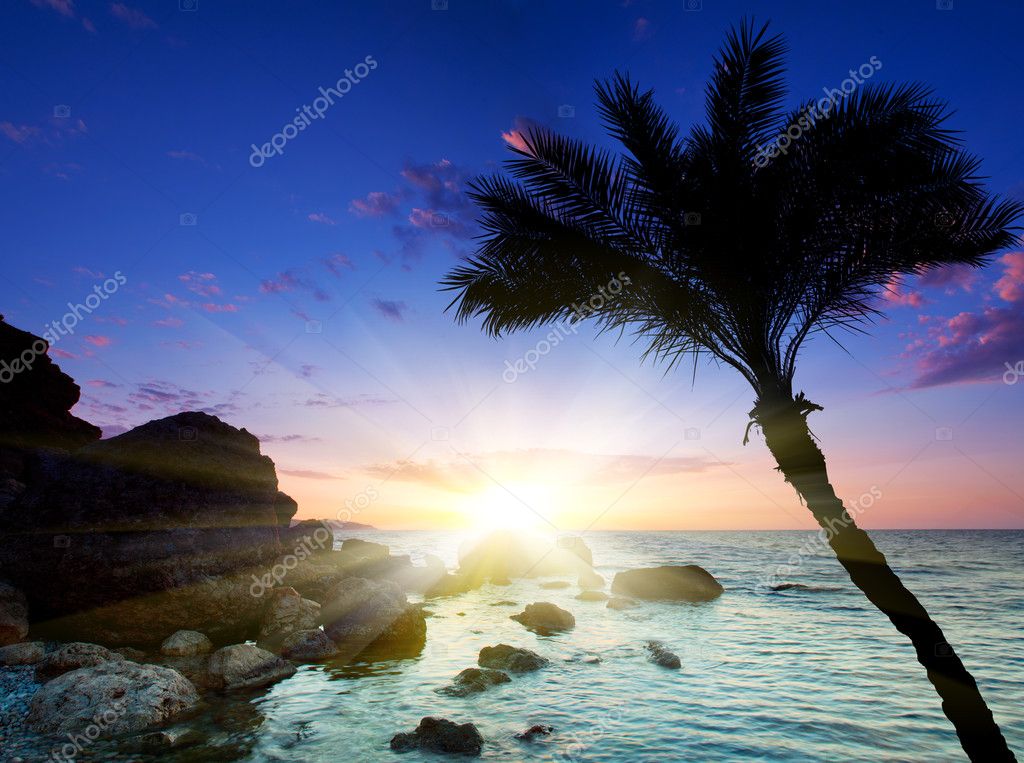 Beautiful sunset at tropical beach. — Stock Photo © Irochka #5139832