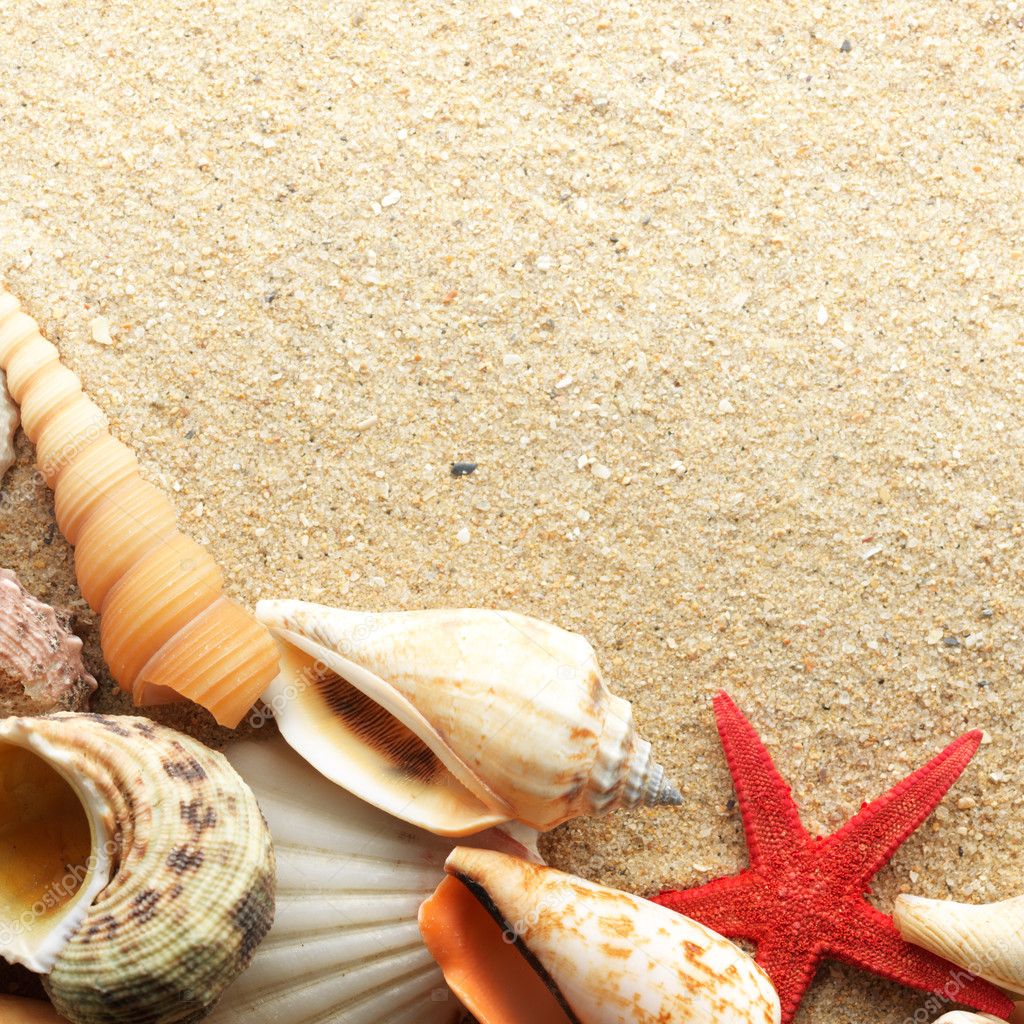 Sea shell on sand — Stock Photo © Irochka #5145772