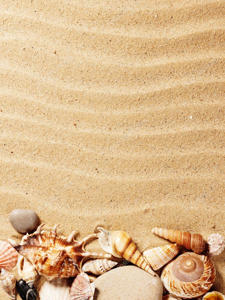 Sea shell on sand — Stock Photo © Irochka #5146156