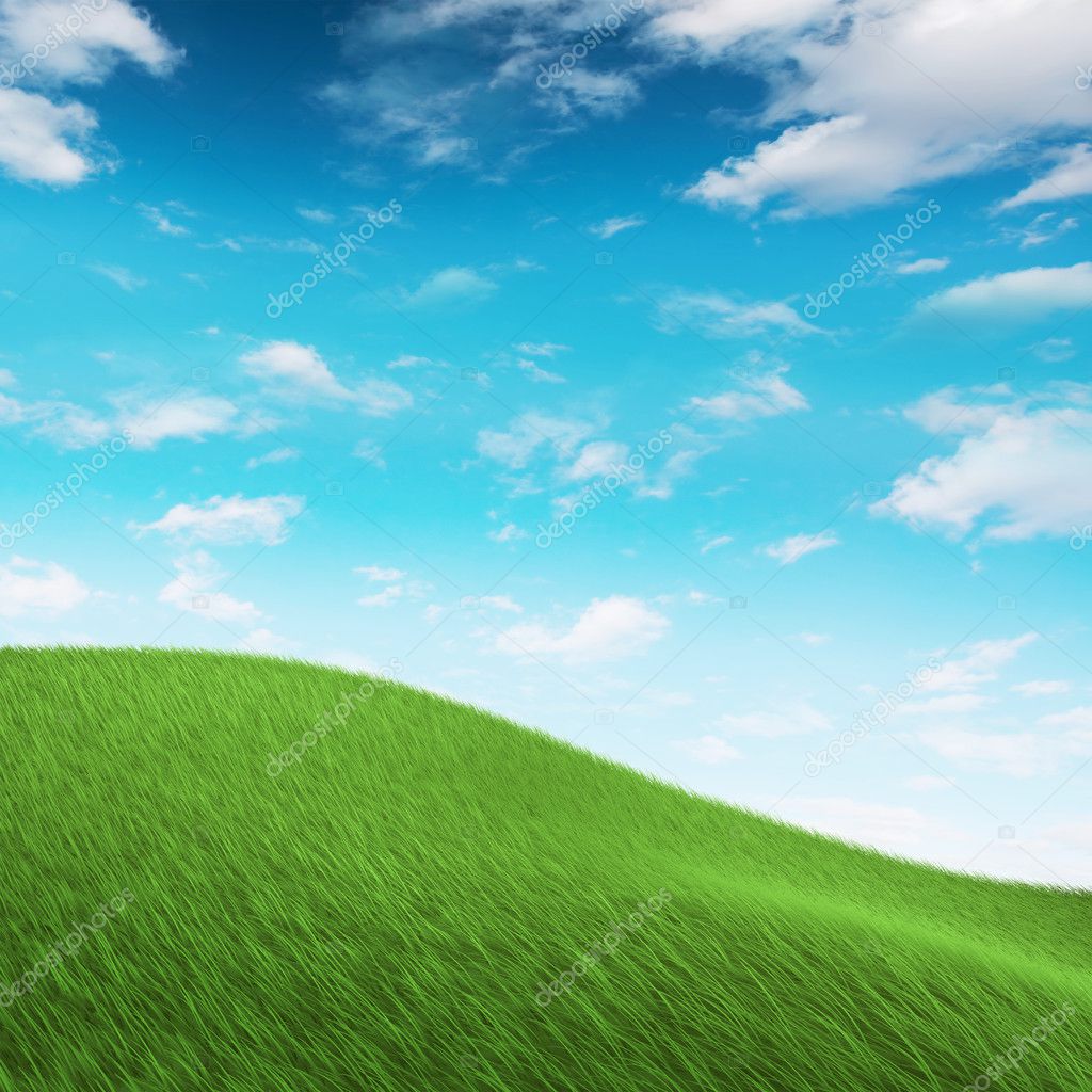 Grass on hilly meadow Stock Photo by ©1xpert 2833124