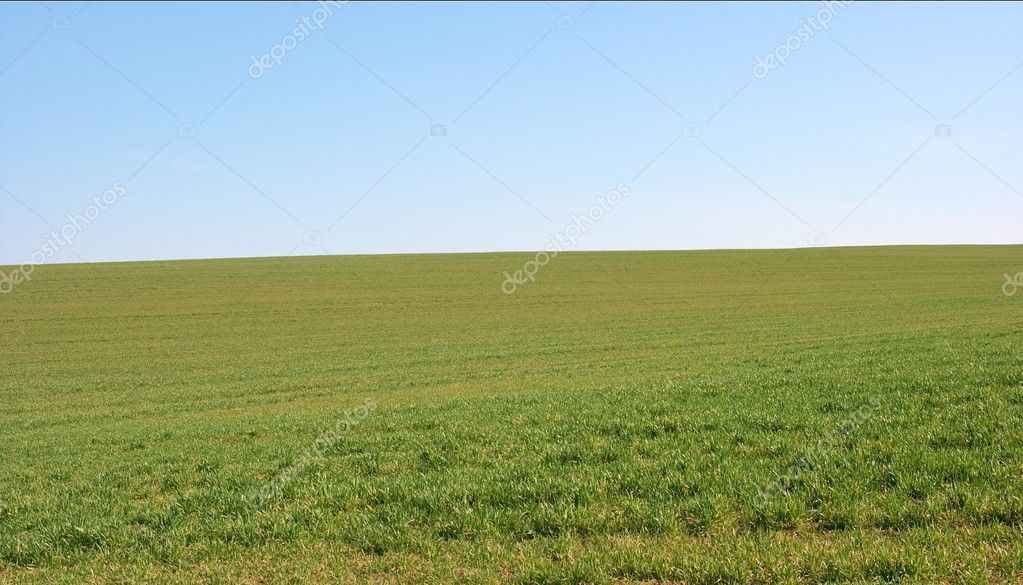 Field — Stock Photo © Gudella #3004676