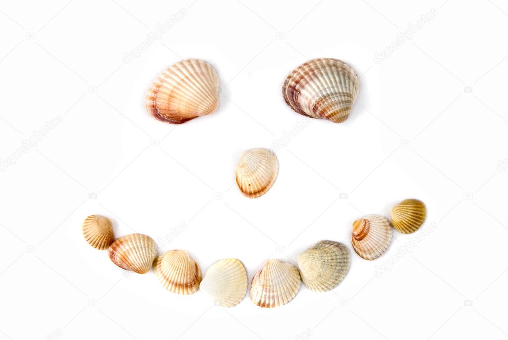 Smile from various color shells isolated on white Stock Photo by ...