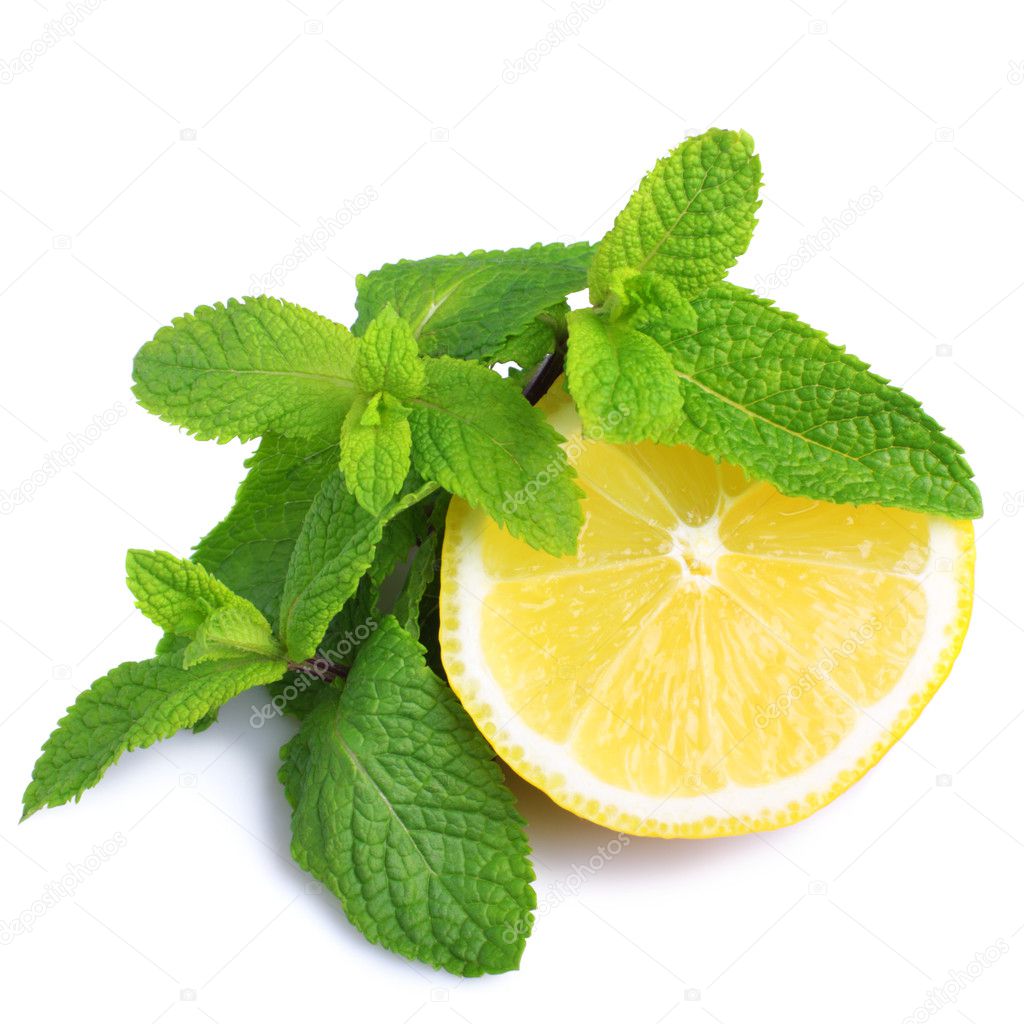 Mint and lemon — Stock Photo © Pshenichka #3211048