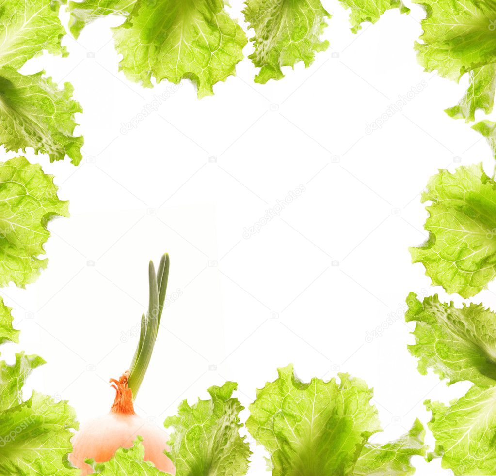 Salad and onion border Stock Photo by ©nejron 5098466