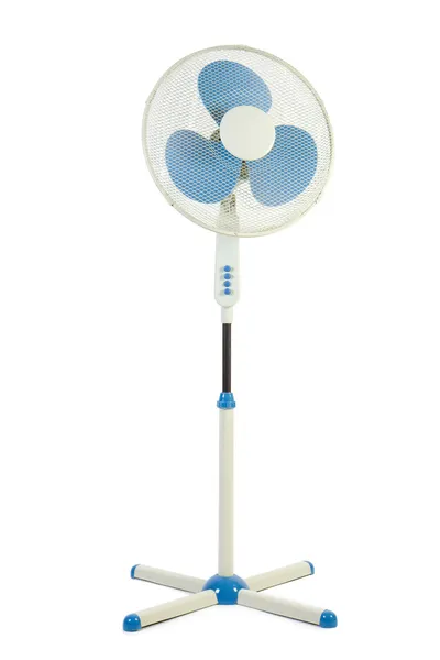 361,507 Fan Stock Photos | Free & Royalty-free Fan Images | Depositphotos