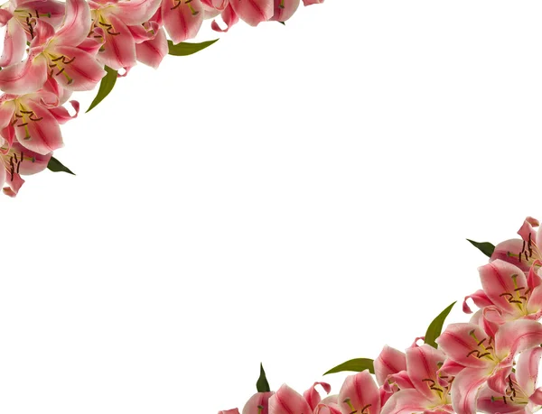 Flower frames Stock Photos, Royalty Free Flower frames Images ...