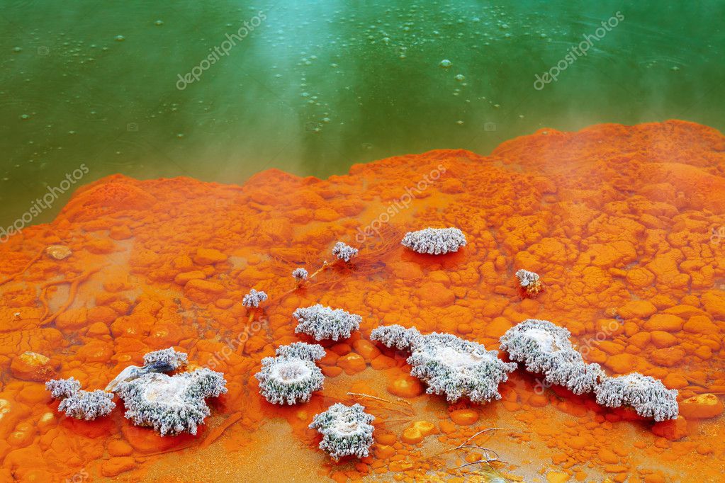 Hot thermal spring, New Zealand Stock Photo by ©muha04 3085012