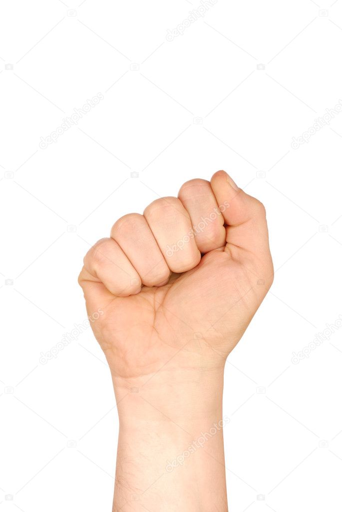 Fist — Stock Photo © phodopus #3102498