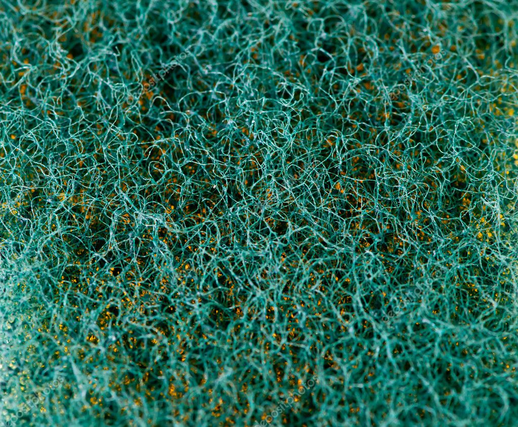 Sponge texture — Stock Photo © rook76 #4643873