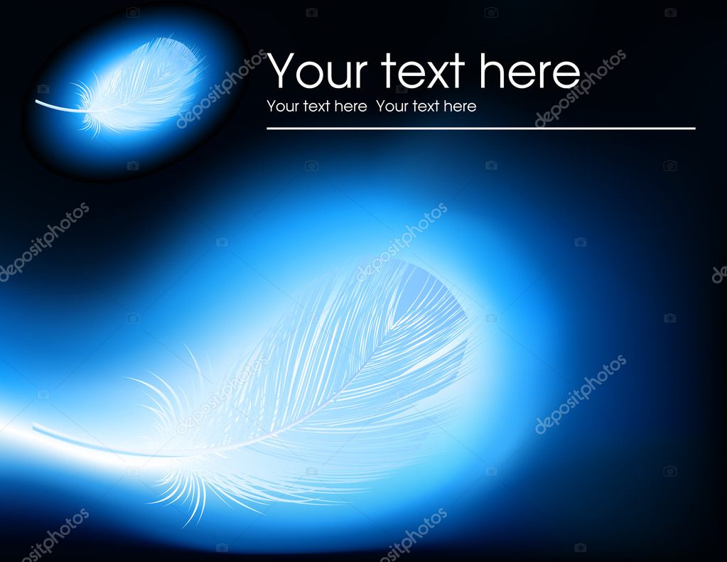 Neon feather Stock Vector Image by ©alegria #2927395