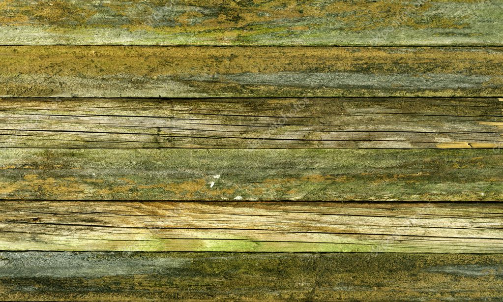 Extremely hi resolution Old wood texture — Stock Photo © icetray #3759734