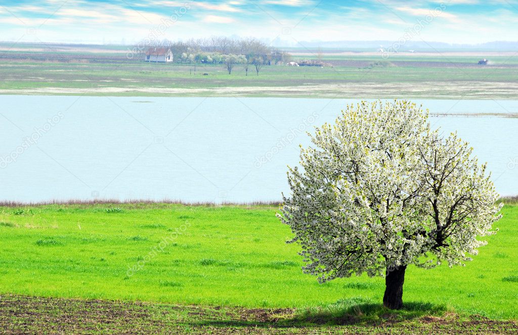 Spring scene with old farm — Stock Photo © goceristeski #3028186