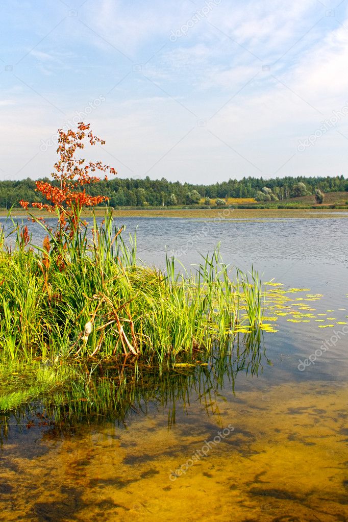 Nature background Stock Photo by ©WDGPhoto 3108233