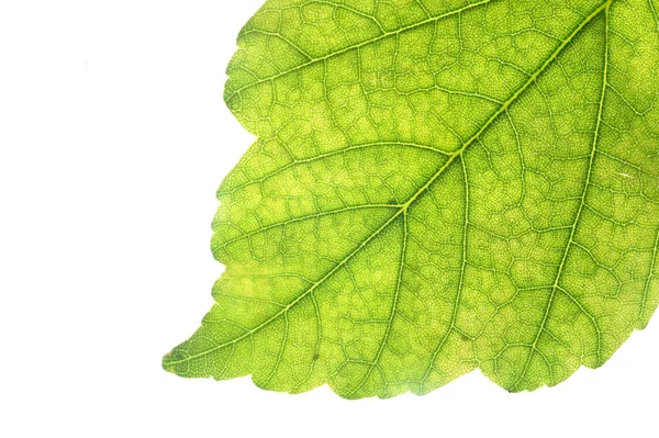 Une Stock Photos, Royalty Free Une Images | Depositphotos®