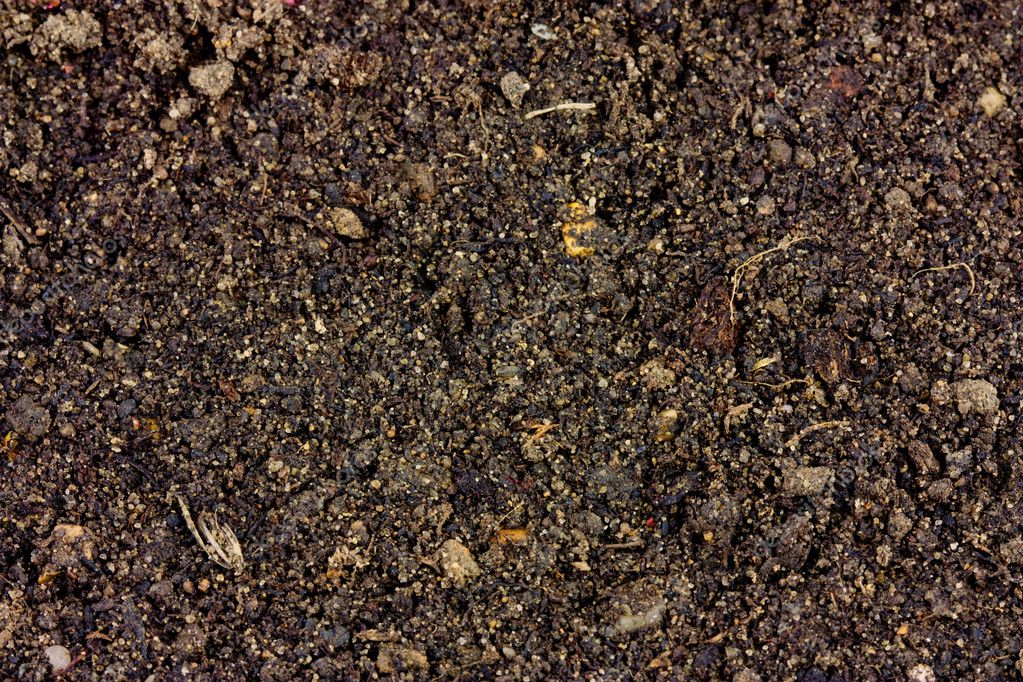 Soil background — Stock Photo © Joingate #2733512