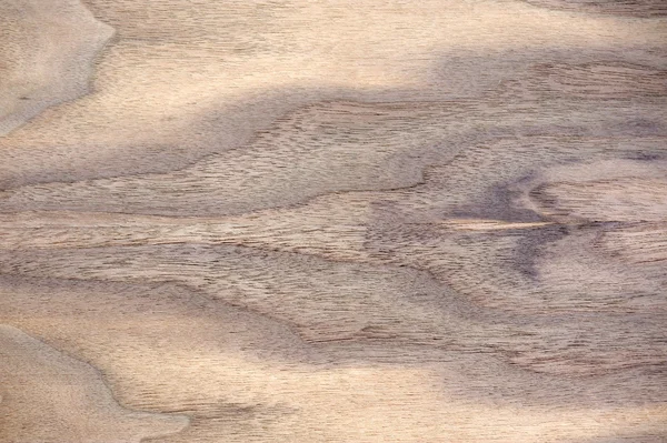 Iroko wood texture | Iroko wood texture — Stock Photo © joiner1 #3567492