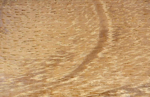 Iroko wood texture | Iroko wood texture — Stock Photo © joiner1 #3567492