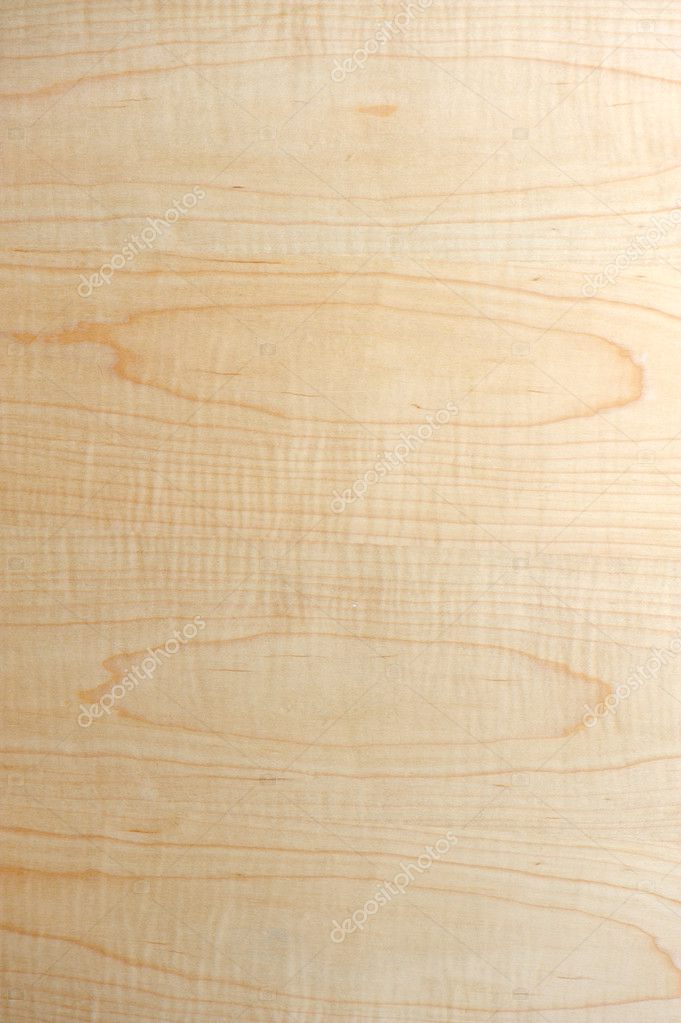 Maple wood texture — Stock Photo © joiner1 #3567457