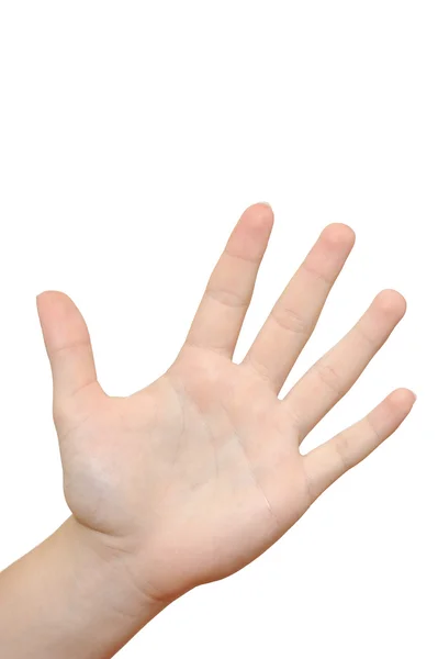 Female hand showing OK sign — Stock Photo © tombaky #2416813