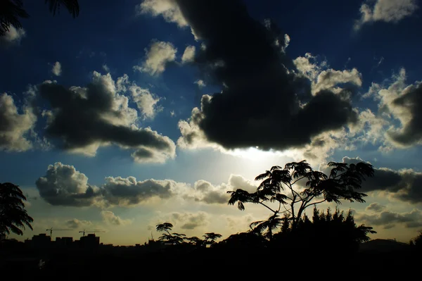 Palenque sunset mexico Stock Photos, Royalty Free Palenque sunset ...