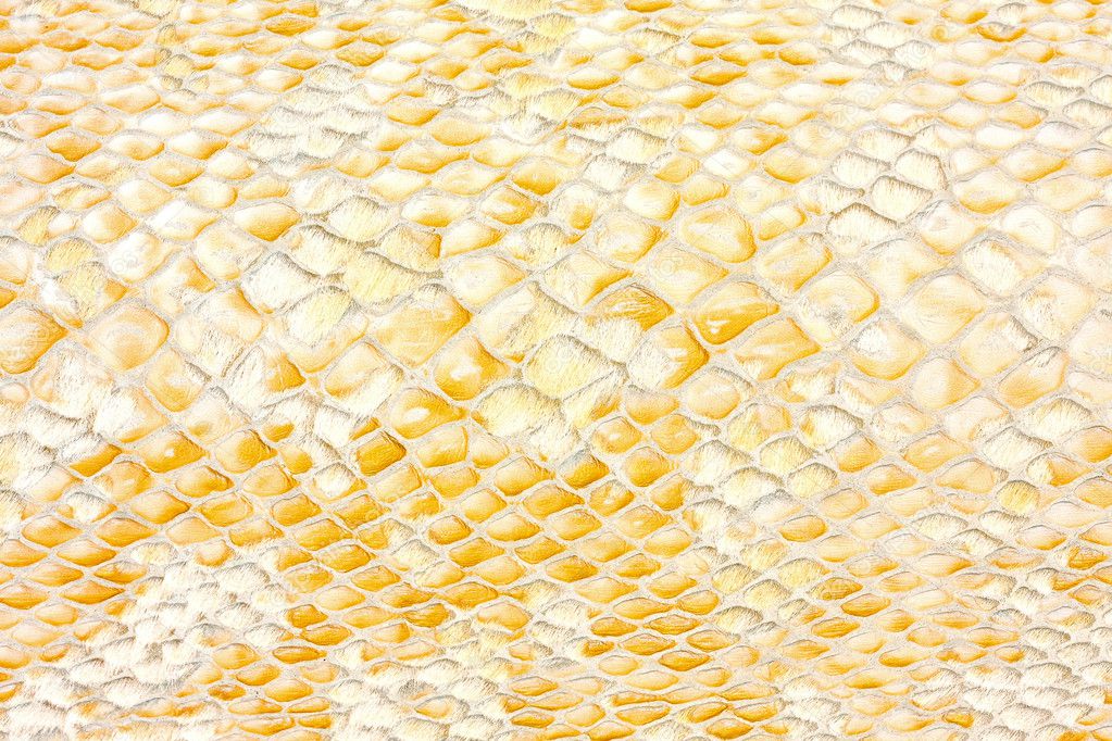 Reptile texture — Stock Photo © Baloncici #3488377