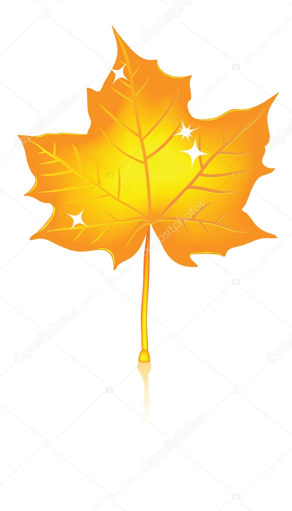 Golden leaf Stock Vector Image by ©tajim1 #2799828