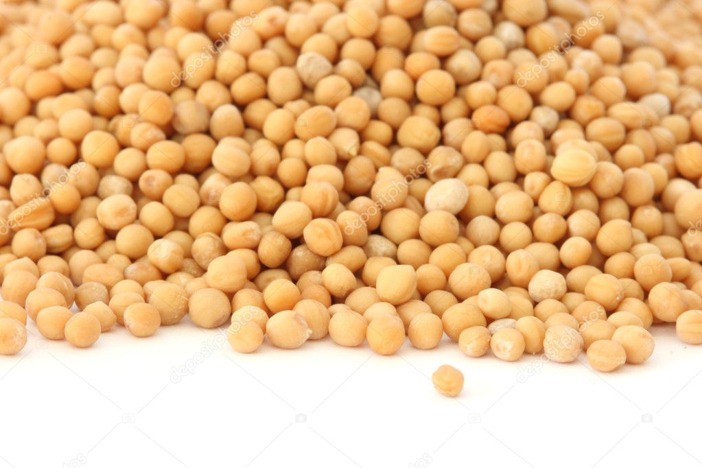 Mustard seed Stock Photo by ©Danicek 2760046