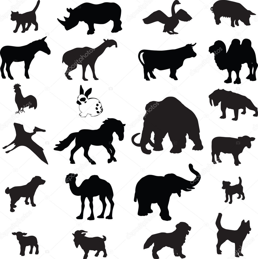 Animal silhouette vector — Stock Vector © photos #3558635