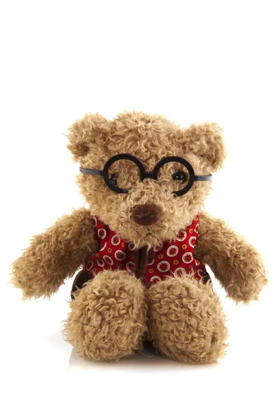 Smart bear Stock Photos, Royalty Free Smart bear Images | Depositphotos