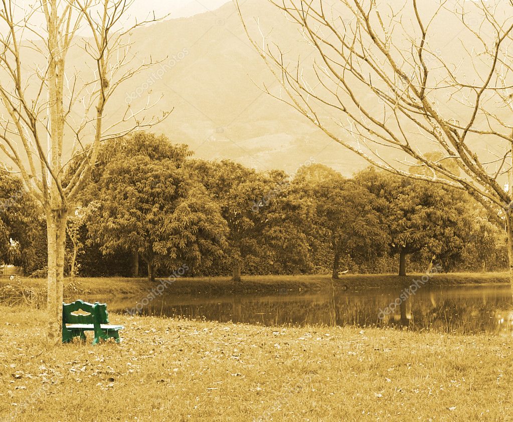 paisaje color sepia — Fotos de Stock © yupiramos #4153367