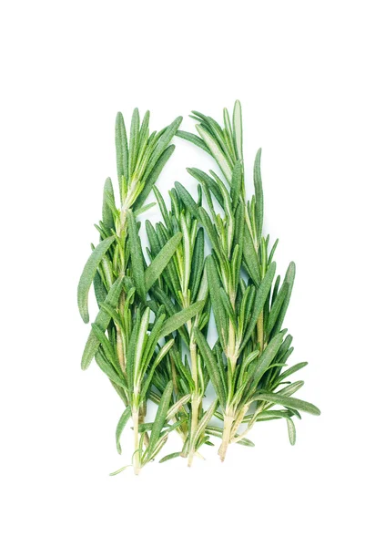 Rosemary isolated Stock Photos, Royalty Free Rosemary isolated Images ...