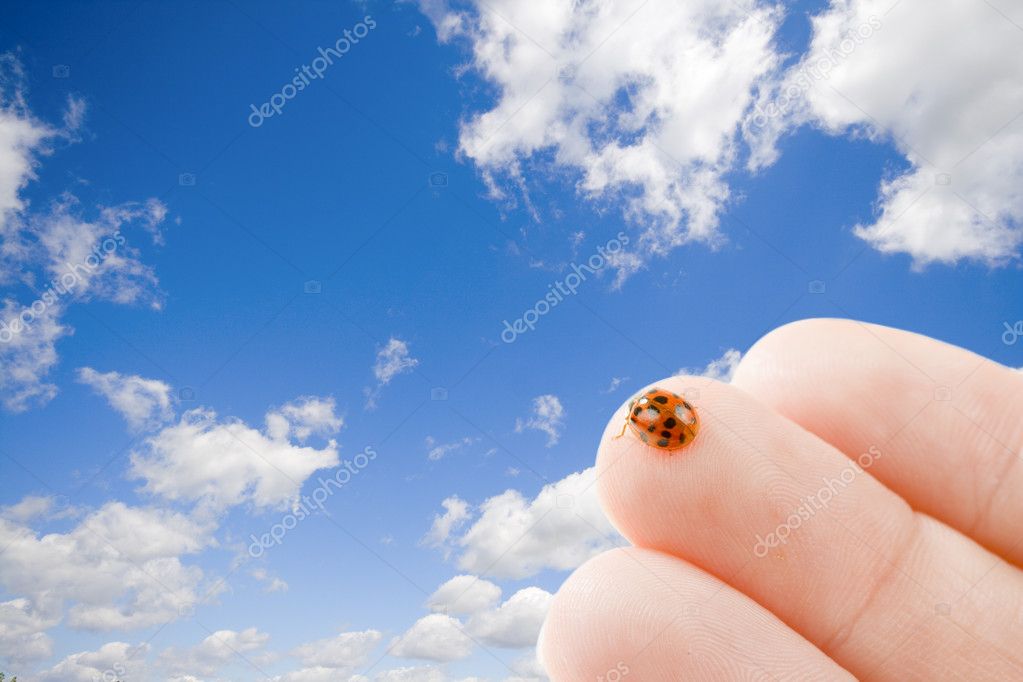 Letting go Stock Photo by ©alexeys 2718096