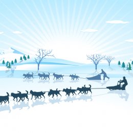 Husky stock fotografie, royalty free Husky obrázky | Depositphotos