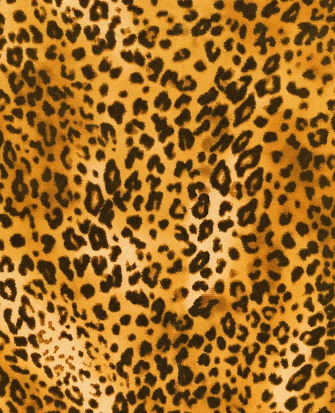 Leopard fabric Stock Photos, Royalty Free Leopard fabric Images ...