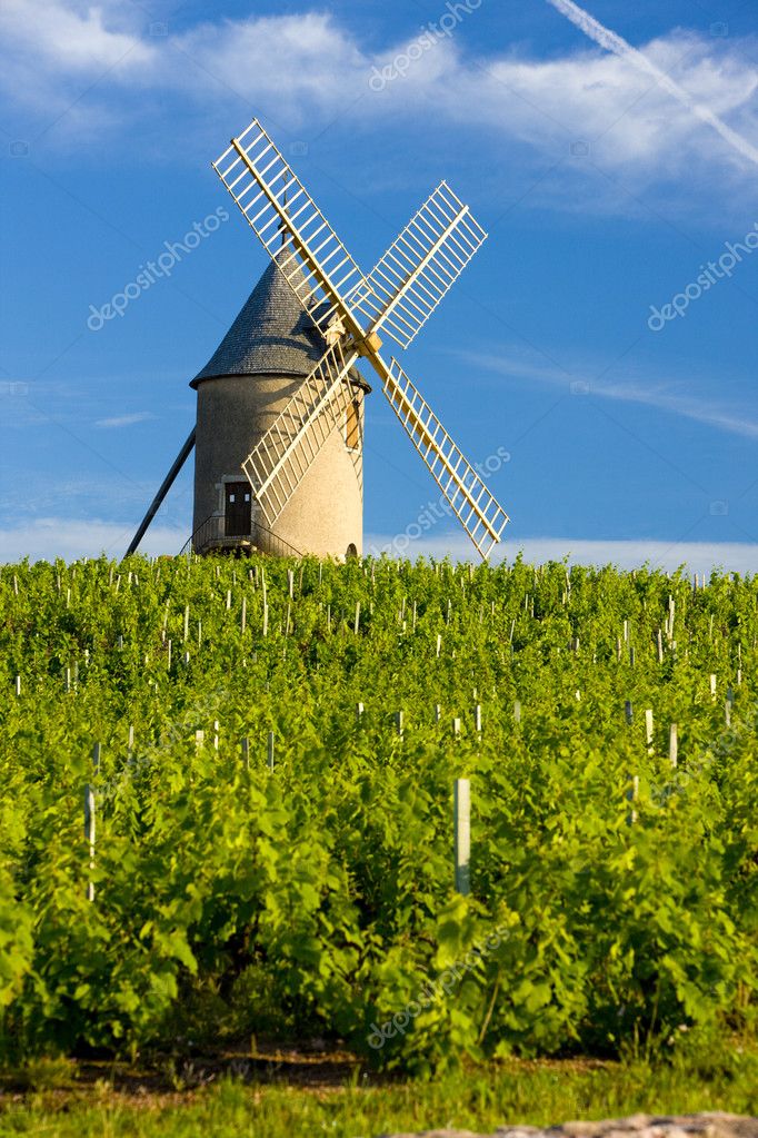 Chenas — Stock Photo © phb.cz #2780026