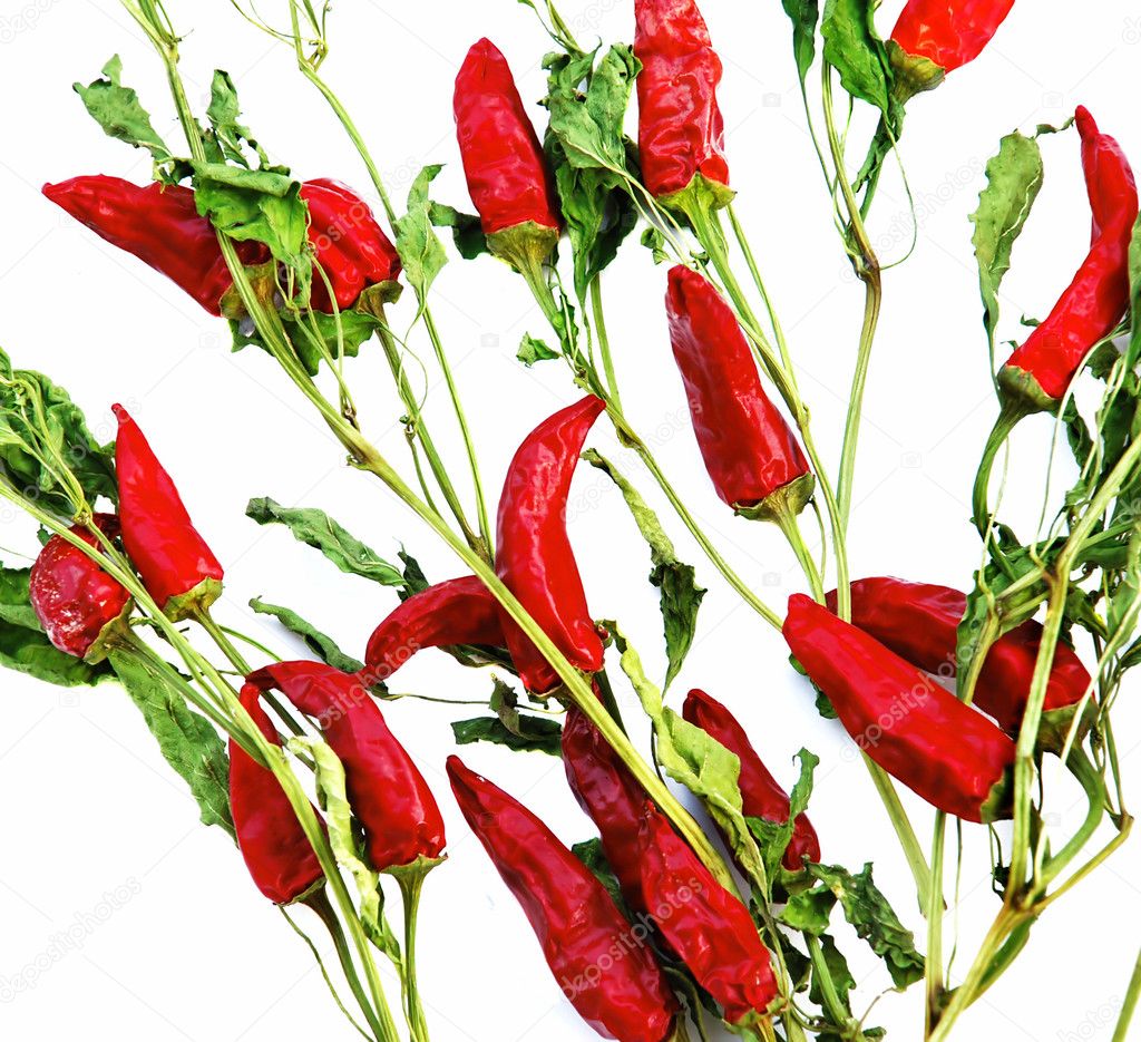 Dry red hot chilly peppers backgrounds Stock Photo by ©simply 3338688