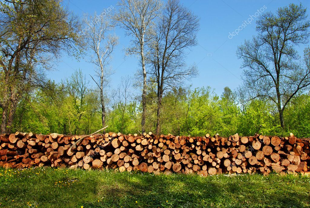 Firewood pile outdoor — Stock Photo © simply #3821187 Firewood pile outdoor — Stock Photo © simply #3821187