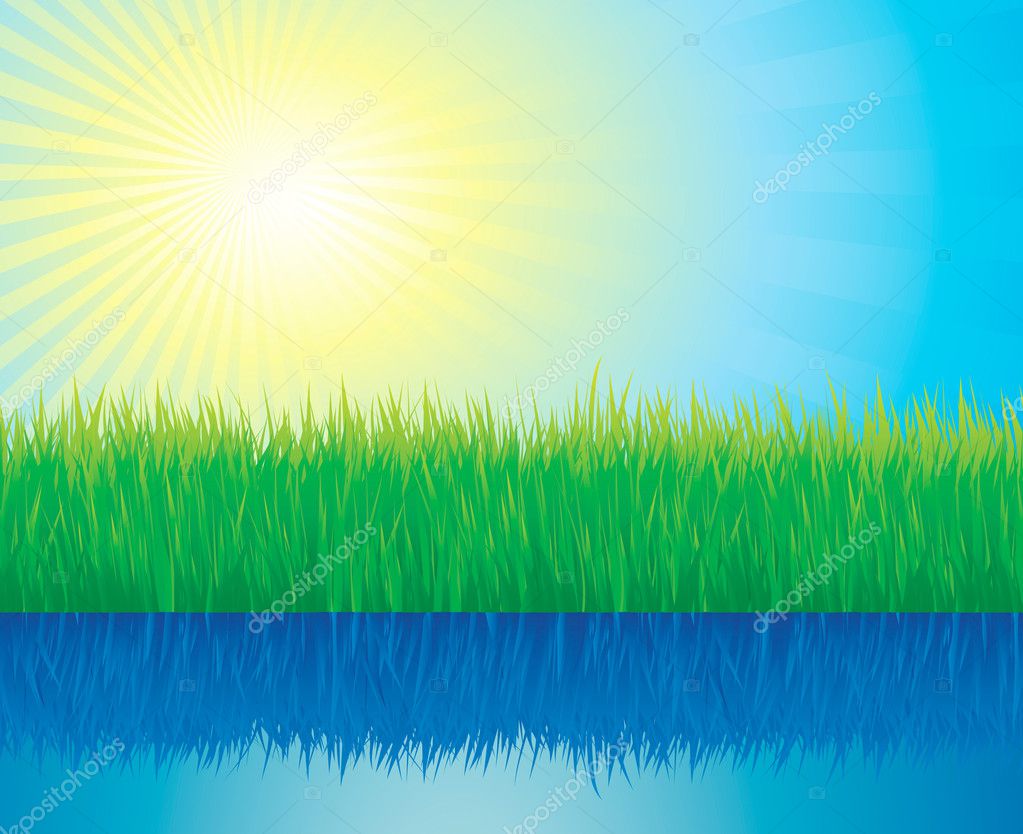 Green grass, water and sun background vector — Stock Vector © krabata ...